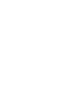 Bear Tracking Bear Freight